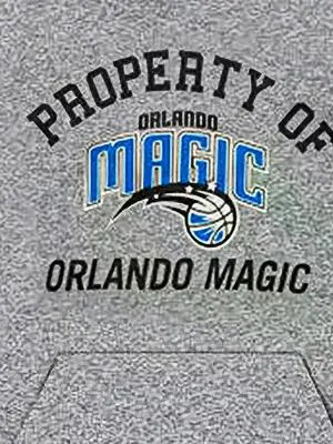 ERIC EMANUEL Orlando Magic Graphic Hoodie - Grey