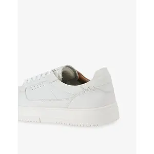 Steve Madden Cliff Leather Trainers - White