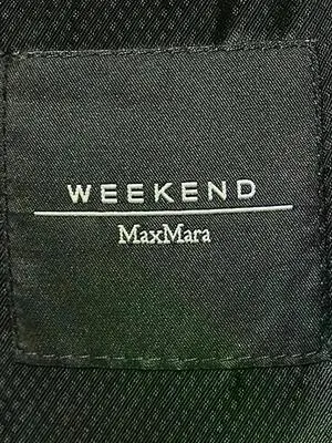 Max Mara 2023 Pleated Coat