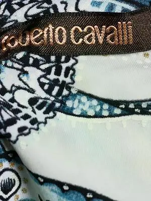 Roberto Cavalli Printed V-neck Blouse