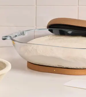 SOURHOUSE Doughbed Sourdough Proofer