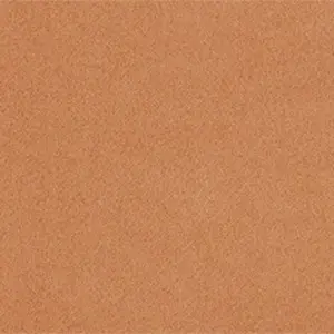 Mulberry Cashmere Fringed Scarf - Neutral