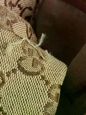 Gucci Gg Canvas Web-belt Coat