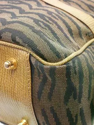 Fendi Zebra Canvas Tote Bag