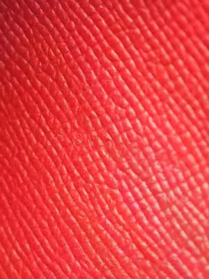 Hermès Constance Long Wallet