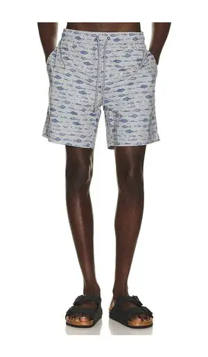 Rails Dane Swim Trunks - Multi