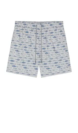 Rails Dane Swim Trunks