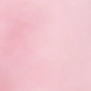 Olivia Von Halle Silk Lila Selene Swan Pyjamas - Pink