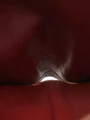 Cartier Le Must De Logo-embossed Wallet