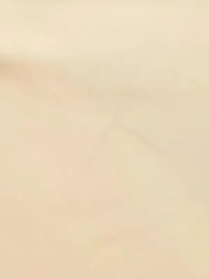 Elisabetta Franchi Strapless Maxi Dress