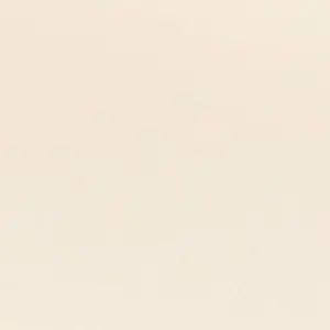 RIVIERE Leather Barcelona Tray