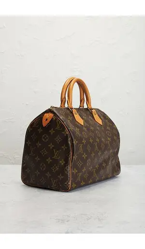 FWRD RENEW Louis Vuitton Monogram Speedy 30 Handbag