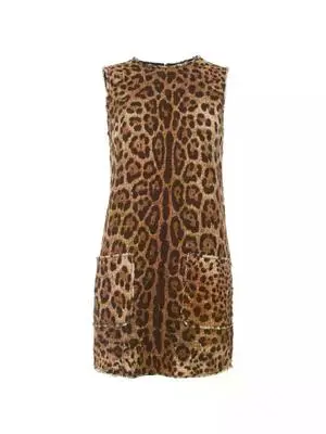 Dolce & Gabbana Leopard-print Mini Dress - Brown