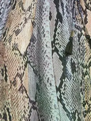 Just Cavalli Snake-print Sweater With Tassel Detail