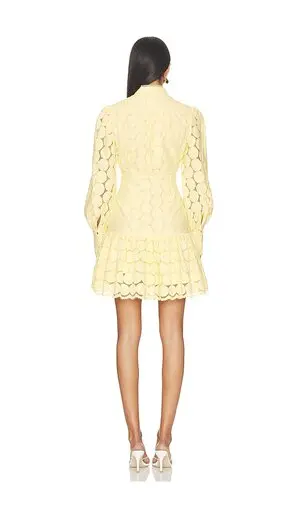 Bardot Remy Spot Lace Mini Dress