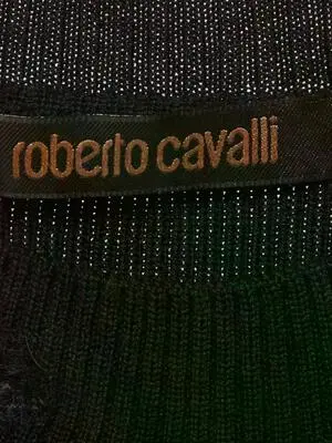 Roberto Cavalli Short-sleeved Mini Dress With Open-knit Panels