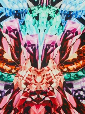 Just Cavalli Crystal Print Sweatshirt