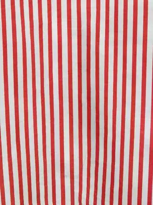 Carolina Herrera Striped Oversized Top