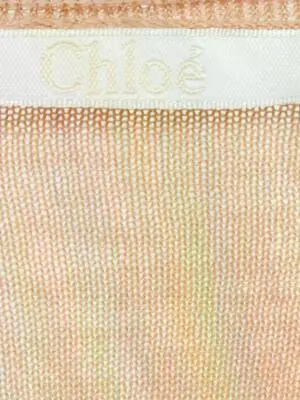 Chloé Wool Eyelet V-neck Sweater