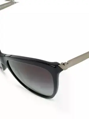 Emporio Armani Gradient Cat-eye Sunglasses