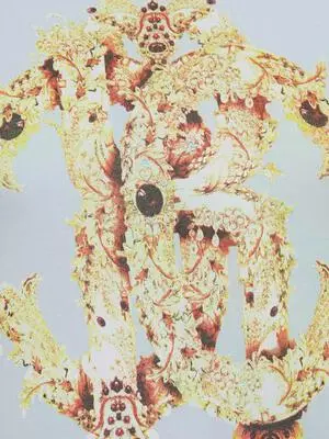 Roberto Cavalli Graphic Print T-shirt