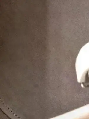 Celine Nano Bucket Bag