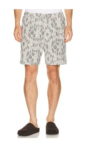 SAMSOE SAMSOE Sajabari Shorts - Multi