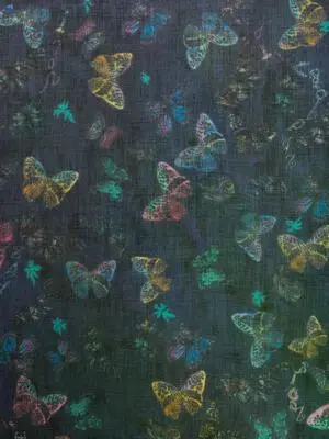 Zadig&Voltaire Kerry Butterfly Scarf 135