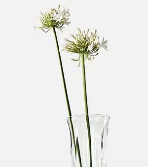 ALEXANDER KIRKEBY Crystal Vase