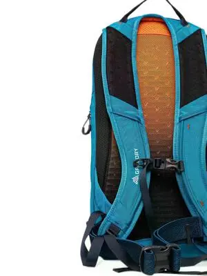 GREGORY Kiro 20 Zip Backpack