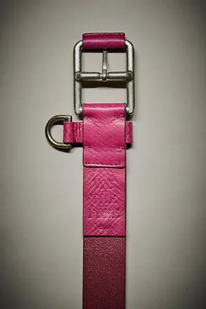 We The Free Brooklyn Belt - Berry