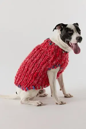 FRENCH KNOT Chunky Dog Sweater