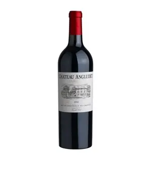 CHÂTEAU ANGLUDET Margaux 2010 – Bordeaux, France - Red
