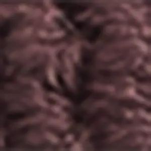 Sandro Crochet Fish Charm - Brown