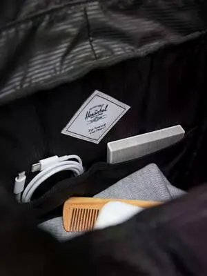 Herschel Supply Co. Eco Buckle Backpack