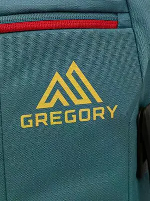 GREGORY Border 30 Logo Print Backpack