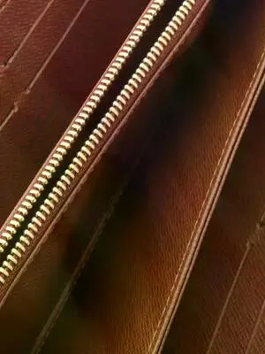 LOUIS VUITTON 2009 Monogram Zippy Long Wallets