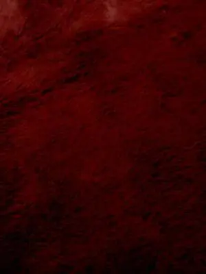 Guess Le Tapis Faux-fur Pet Mat - Red