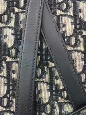 Dior Saddle Tote Bag - Blue