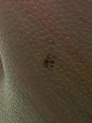 LOUIS VUITTON Montaigne Monogram Empreinte Tote Bag - Neutrals