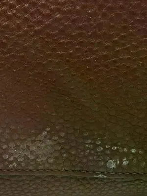 Prada Vitello Daino Bauletto Tote Bag