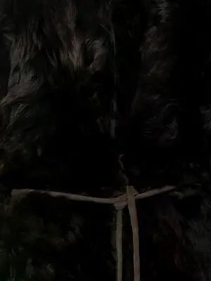 BLANCHA Belted Shearling Coat - Brown