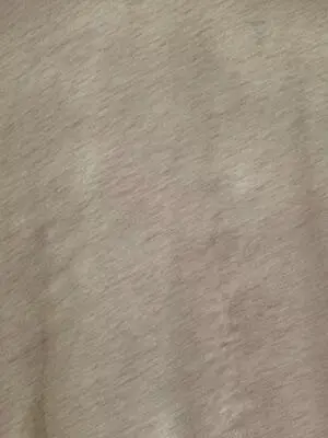 Saint Laurent Sheer Jersey T-shirt