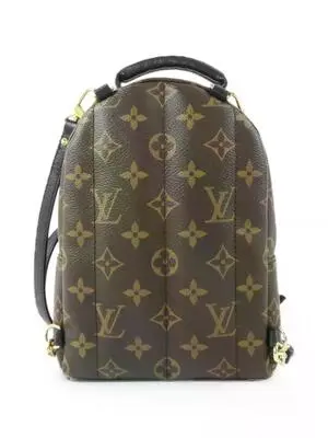 LOUIS VUITTON Palm Springs Mini Backpack - Brown