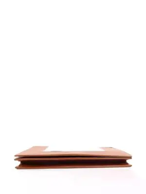 Celine Frame Wallet On Chain Shoulder Bag - Brown