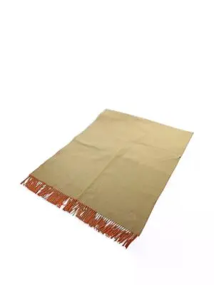 Hermès Fringed Cashmere Scarf - Neutrals