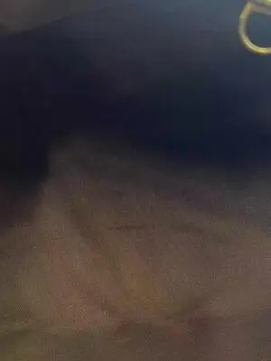 LOUIS VUITTON Monogram Speedy 30 Boston Bag
