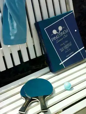PRINTWORKS Portable Table Tennis Set