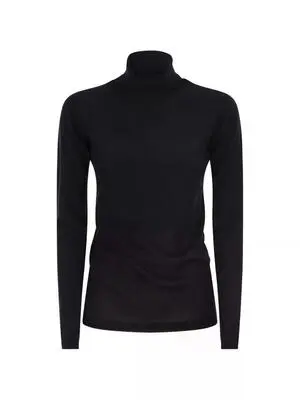 Fabiana Filippi Fine-gauge Knit Roll Neck Long Sleeve Sweater
