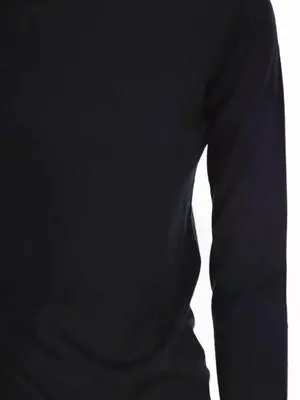 Fabiana Filippi Fine-gauge Knit Roll Neck Long Sleeve Sweater